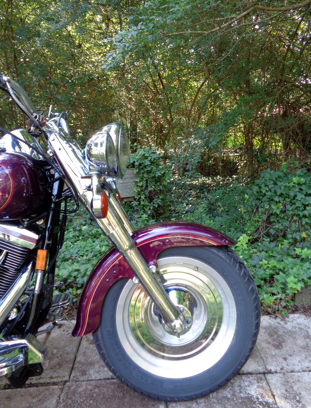 1996 Harley Davidson FLSTF Fat Boy